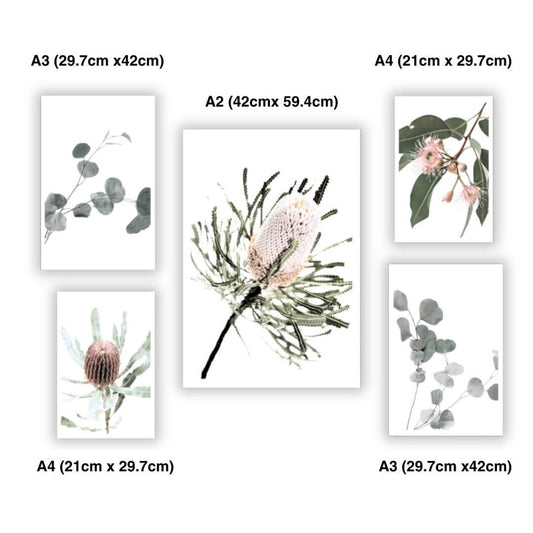Small to Large Wall Art Prints, Framed, Unframed